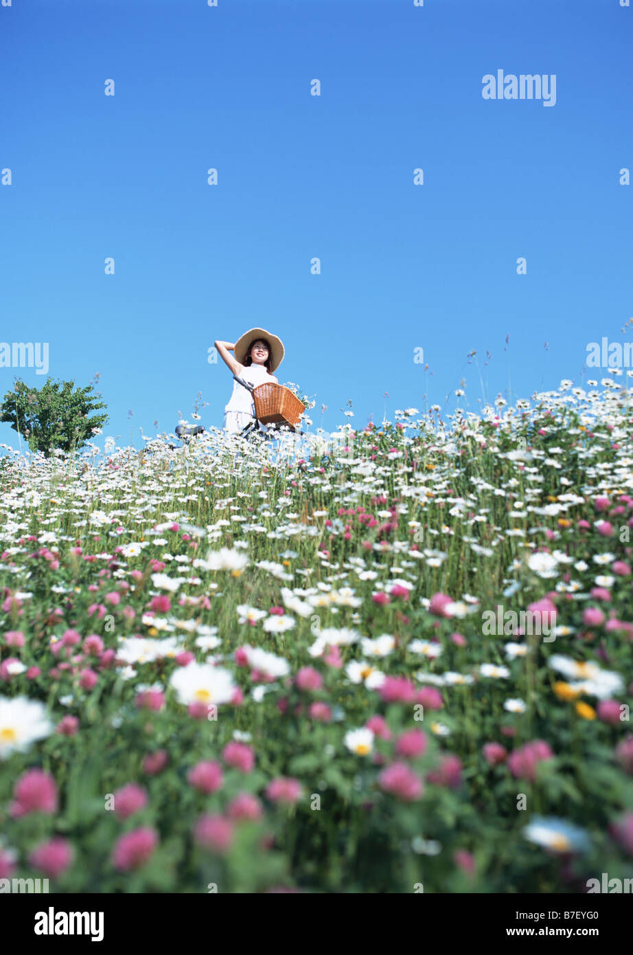 Woman in flower field Stock Photo - Alamy