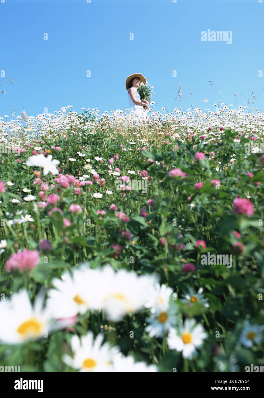 Woman in flower field Stock Photo - Alamy