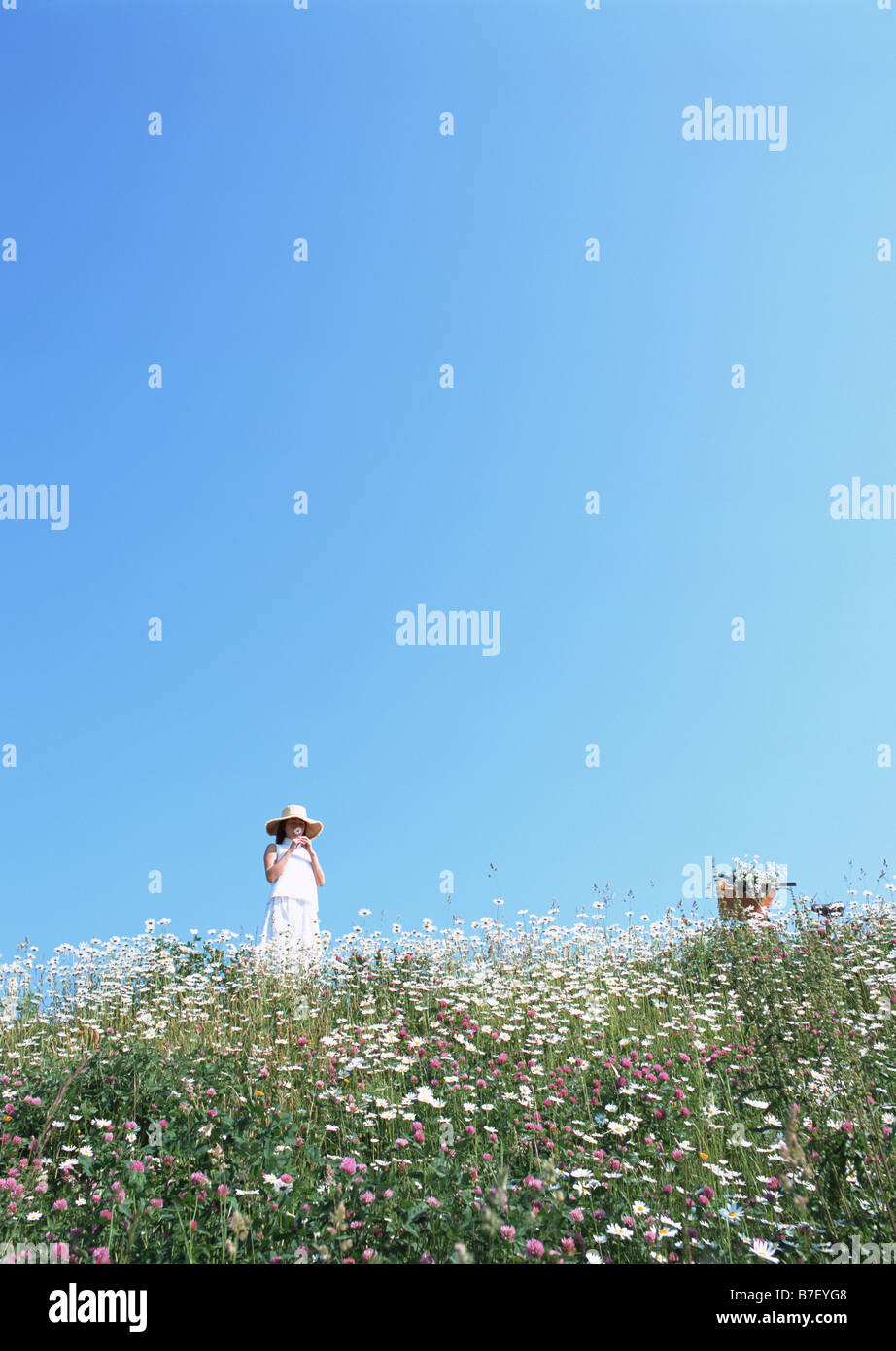 Woman in flower field Stock Photo - Alamy