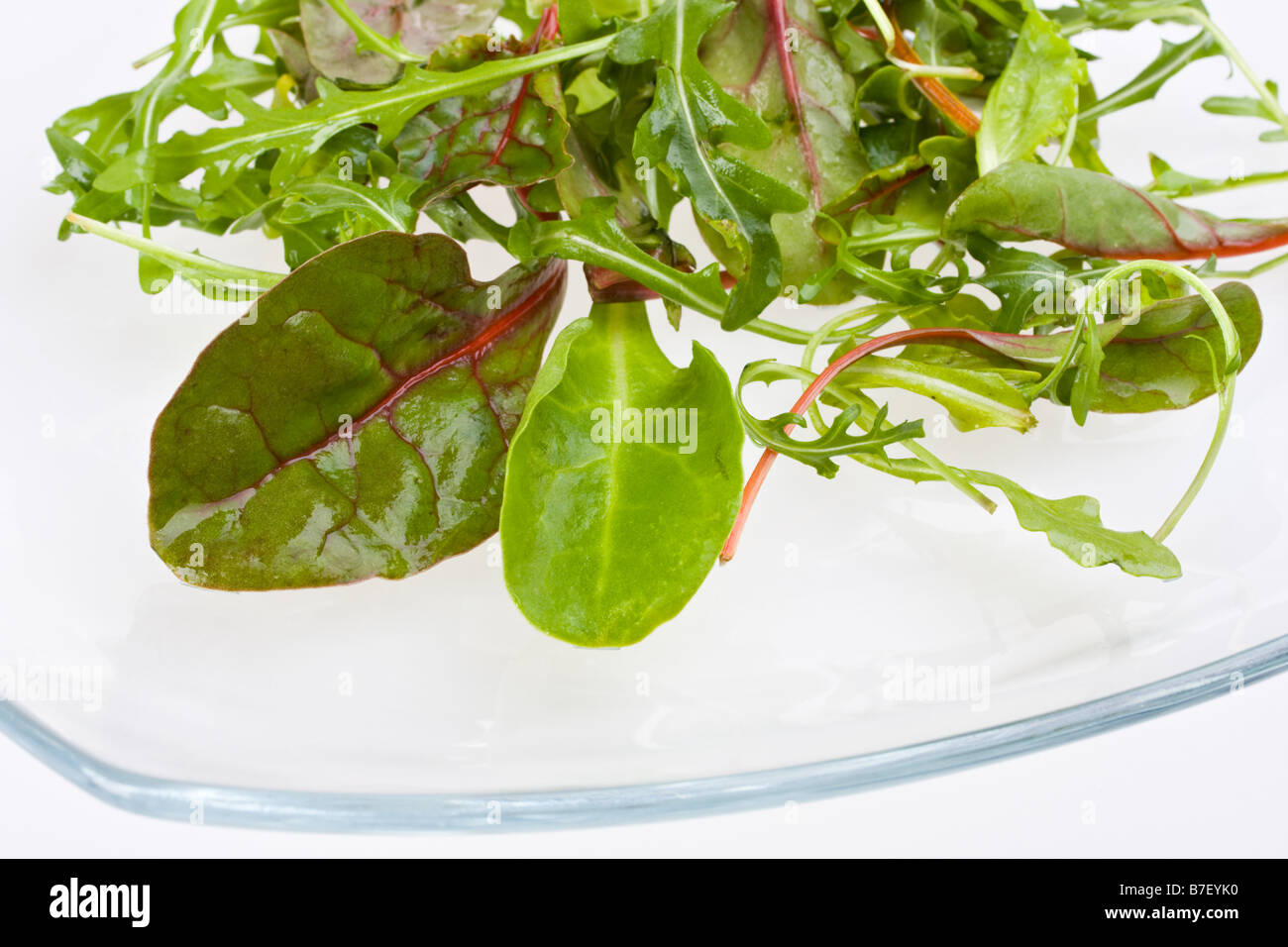 Low fat green square hi-res stock photography and images - Alamy