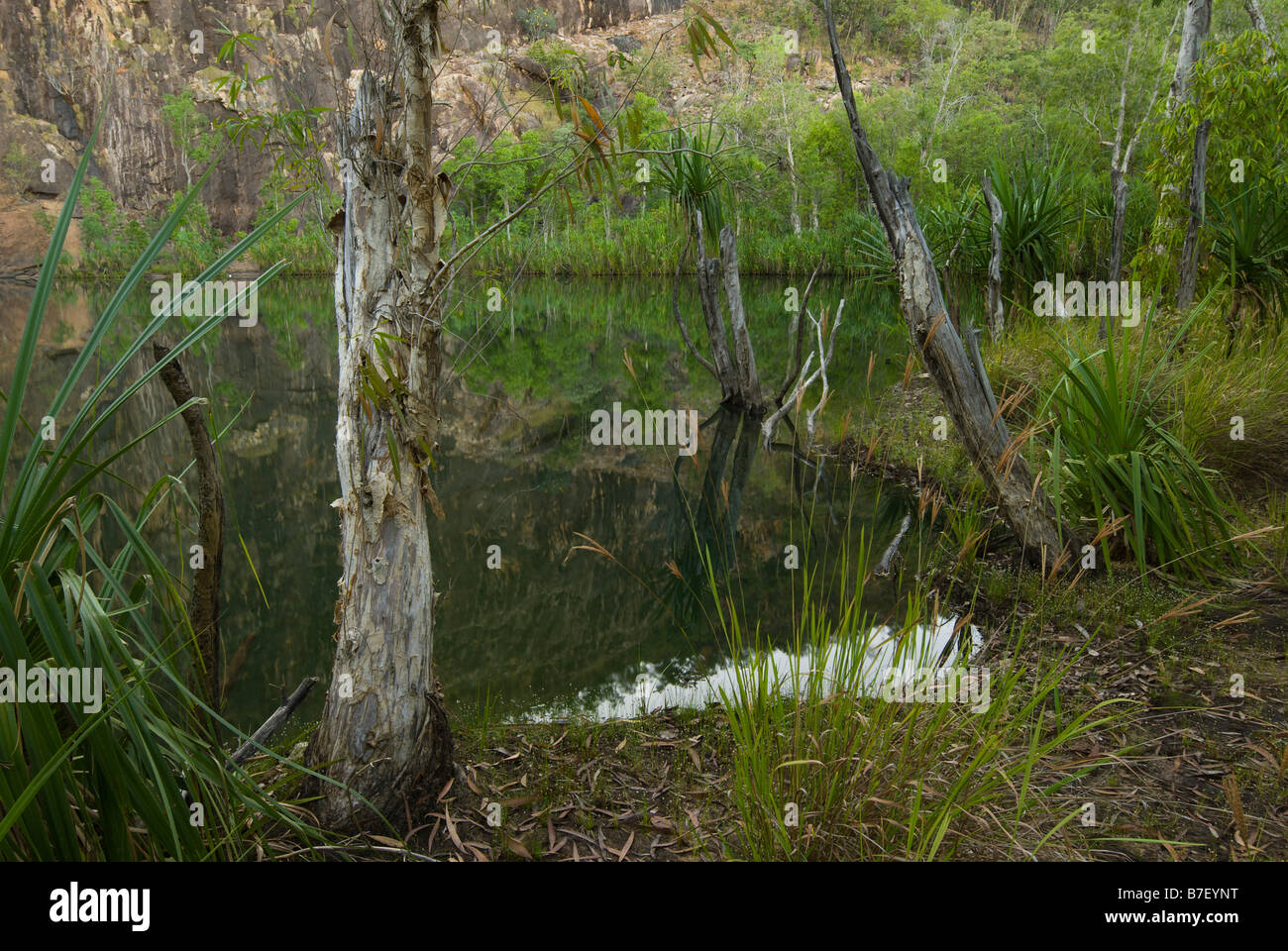 Tropical monsoon forest hi-res stock photography and images - Alamy