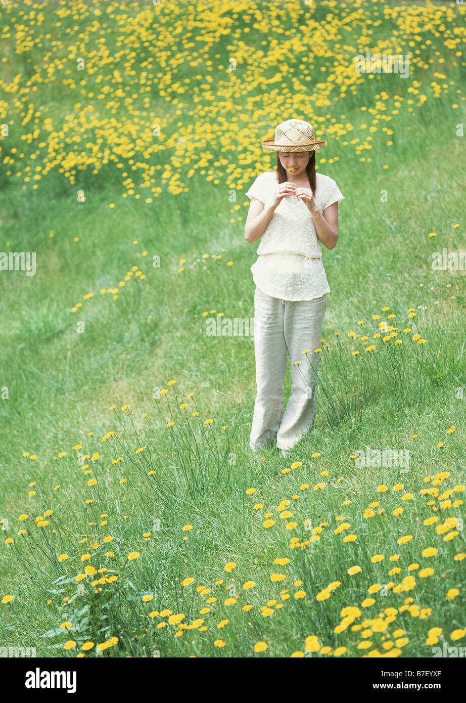 Woman in flower field Stock Photo - Alamy