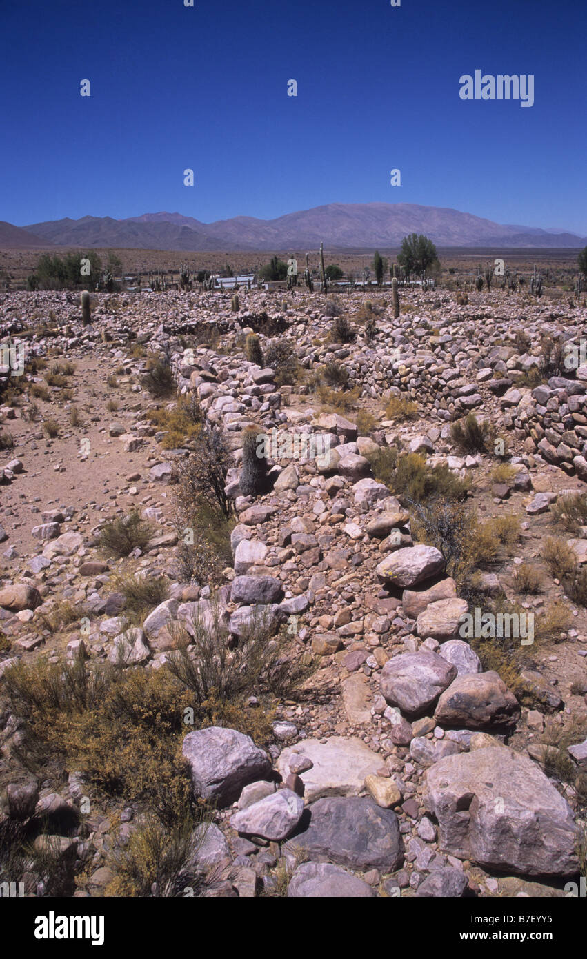 Pre columbian ruins at Coctaca, near Humahuaca, Argentina Stock Photo ...