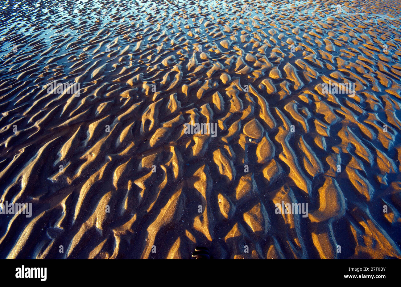 waves of sand on the beach Stock Photo - Alamy