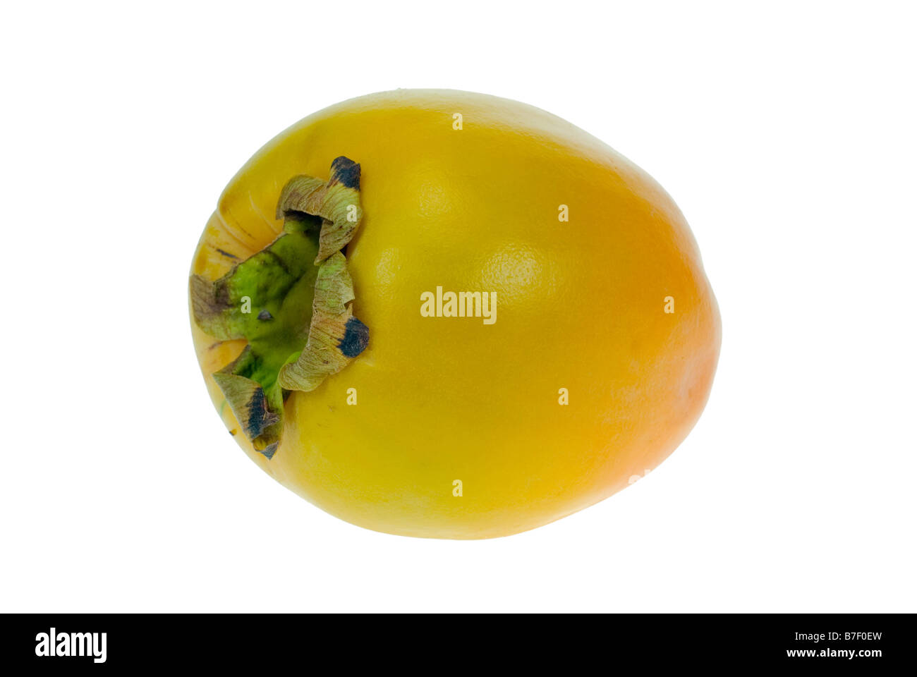 Date plum tree hi-res stock photography and images - Alamy