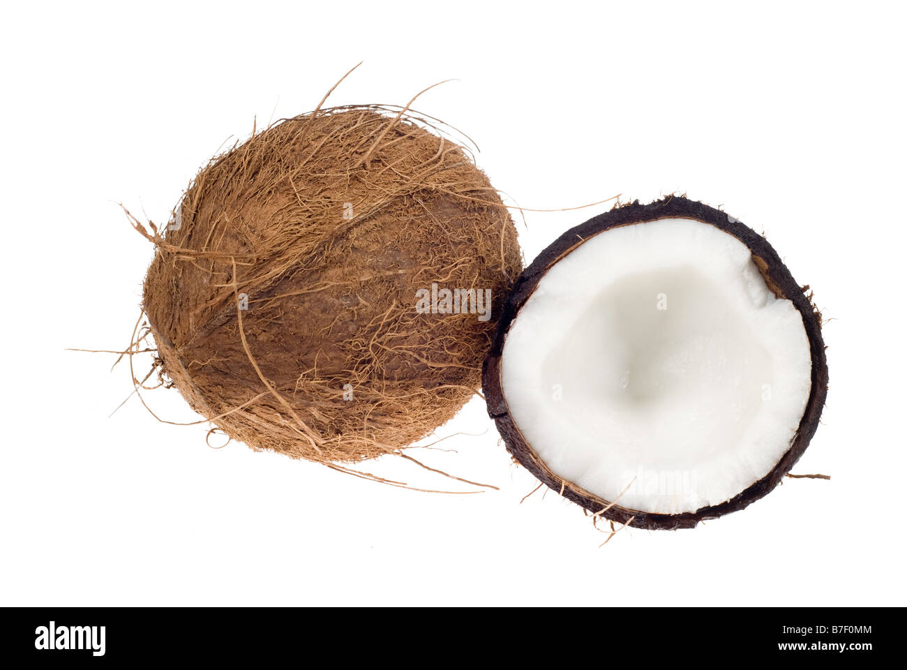 coconut isolated on white background no shade so its easy to select and ...