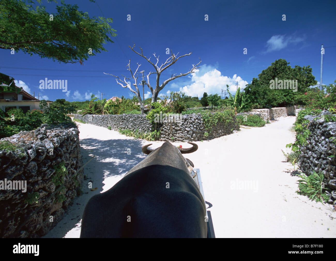 A white sand road Stock Photo - Alamy