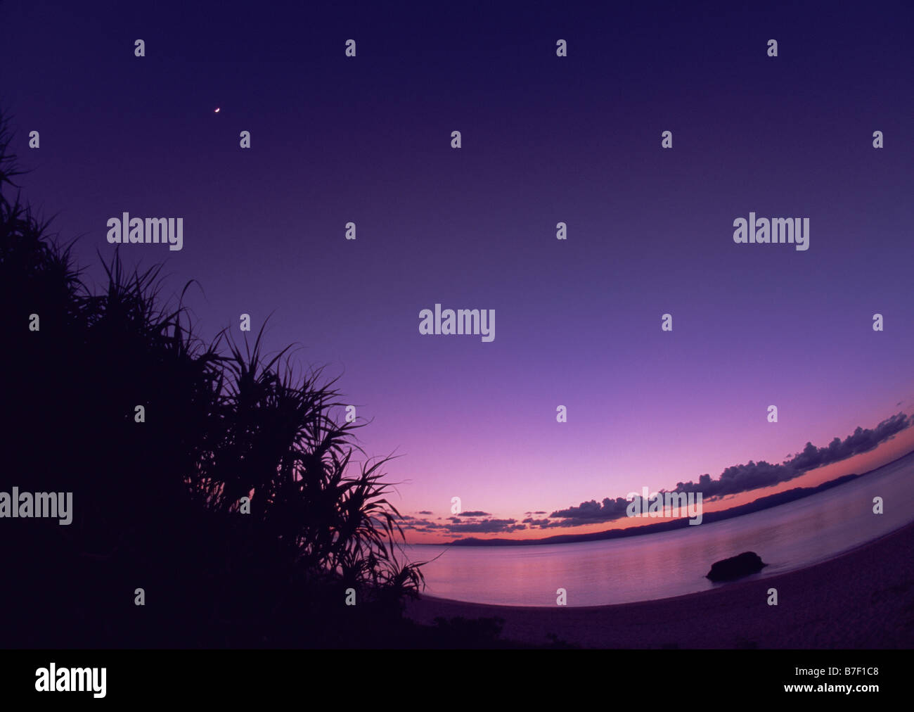 Sandy cho hi-res stock photography and images - Alamy