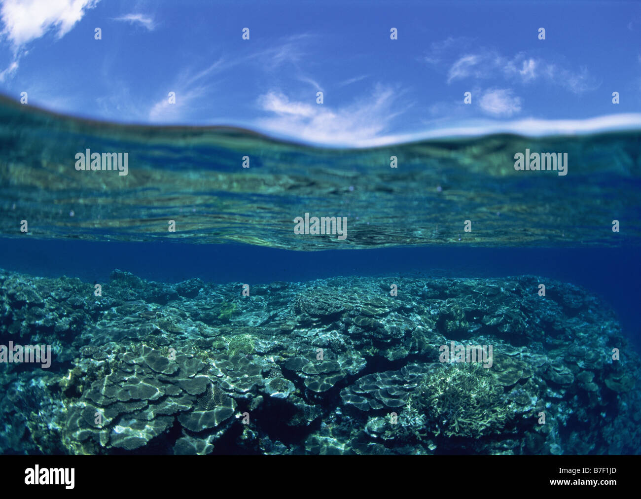 Underwater shelf hi-res stock photography and images - Alamy