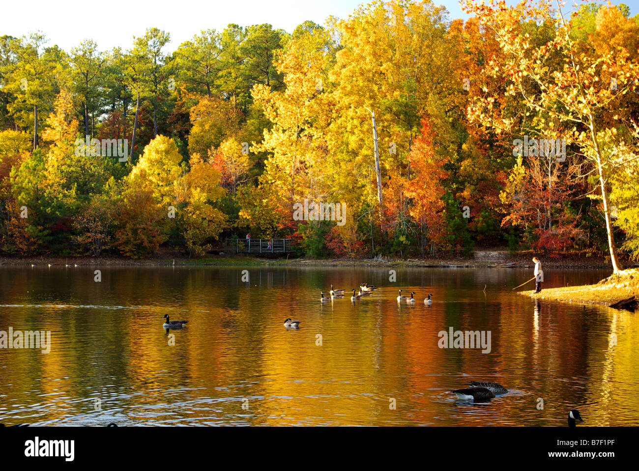 Late autumn afternoon at the lake Stock Photo - Alamy