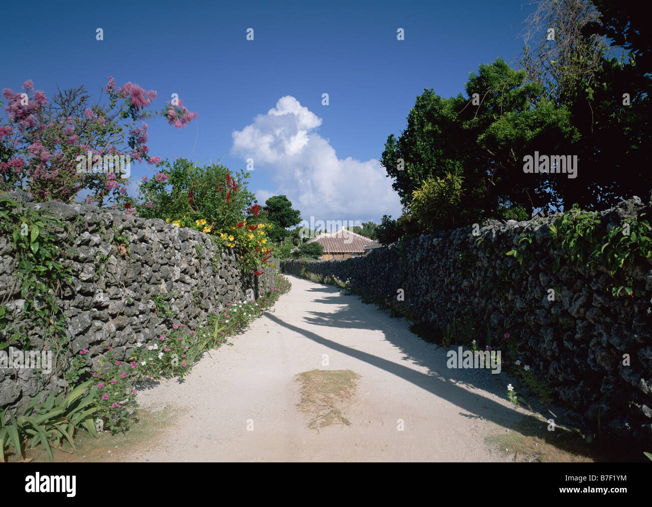 Stone wall and road Stock Photo - Alamy