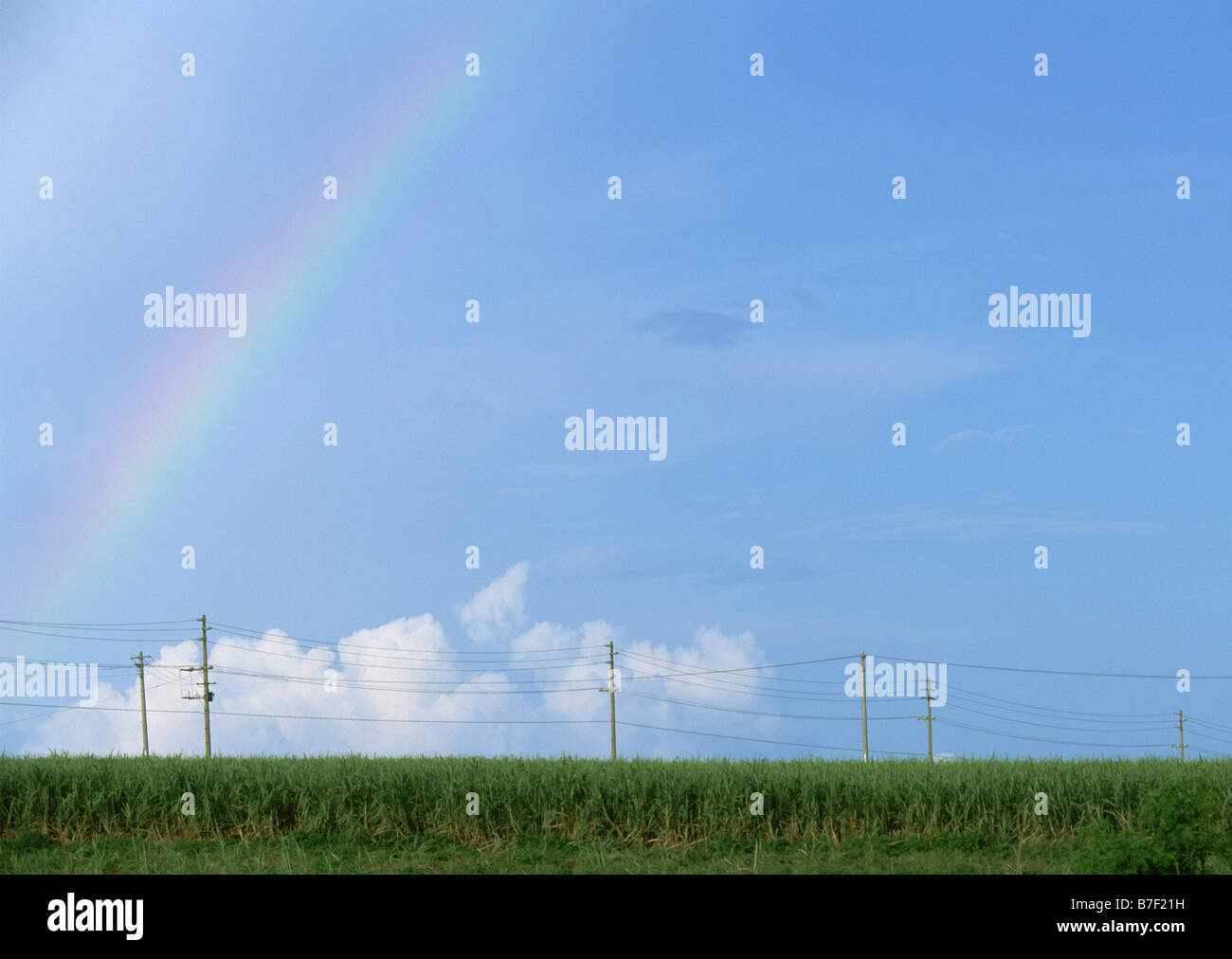 Rainbow over field Stock Photo - Alamy