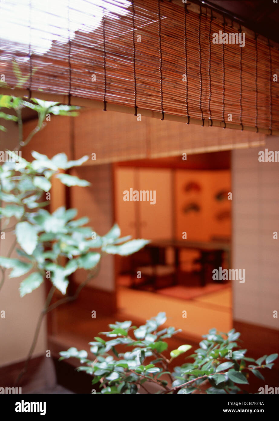 Rattan blind hi-res stock photography and images - Alamy