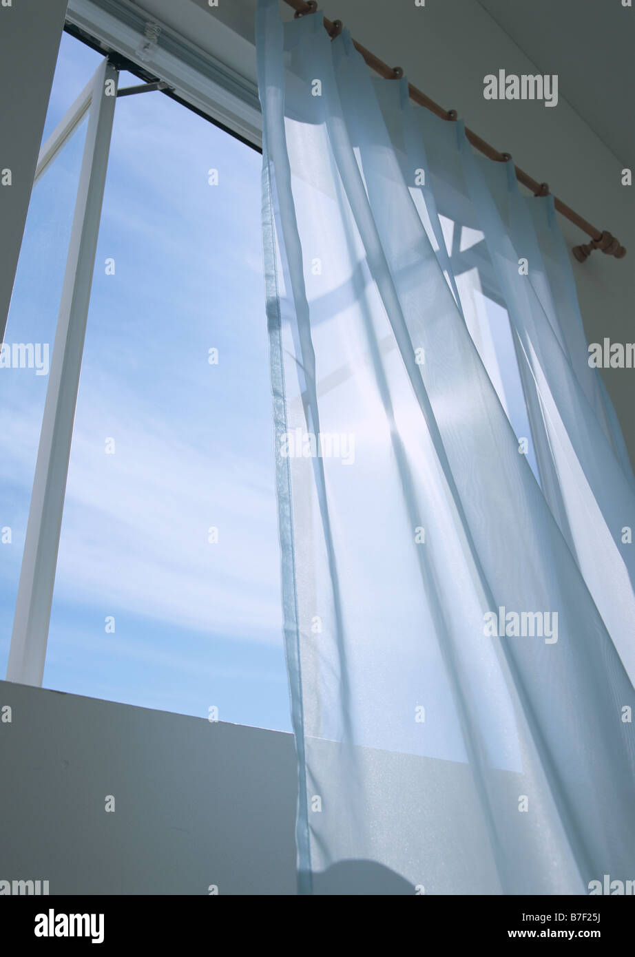 Sheer window panel and window Stock Photo - Alamy