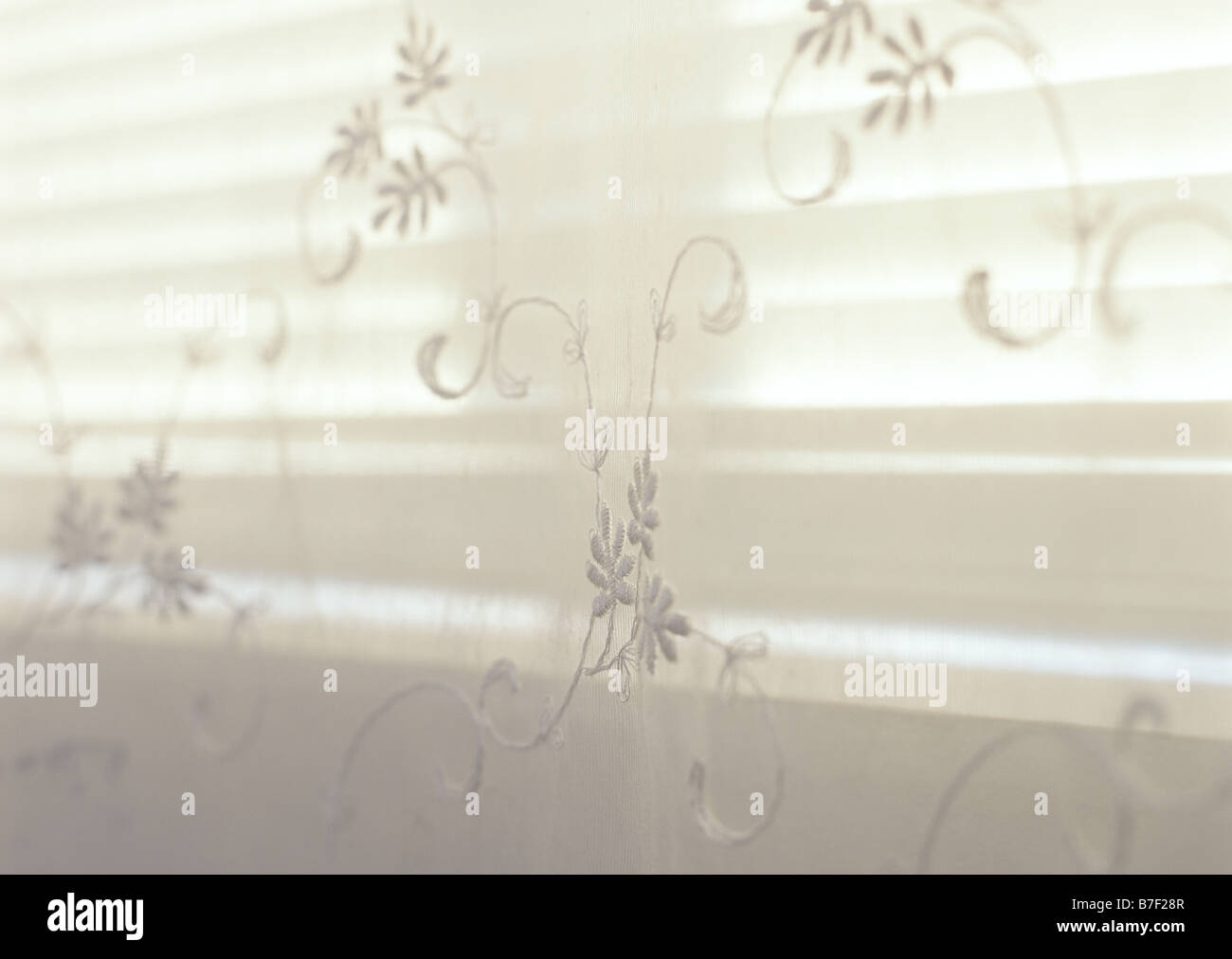 Sheer floral stitching window panel Stock Photo - Alamy