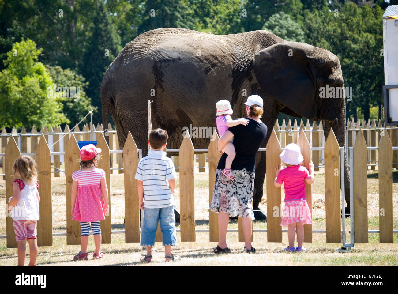 Children watching elephant at African Circus, Ashburton Domain ...