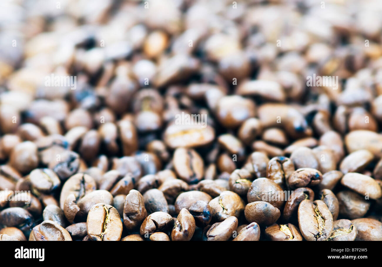 Closeup coffee beans shallow hi-res stock photography and images - Alamy