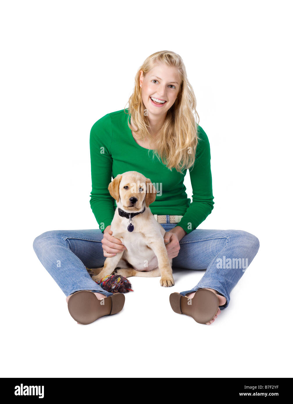 Labrador golden retriever cross hi-res stock photography and images - Alamy