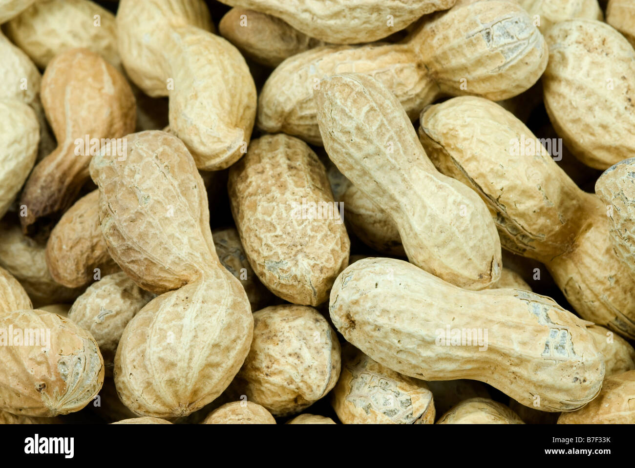 close up of lots of peanuts for backgrounds Stock Photo - Alamy