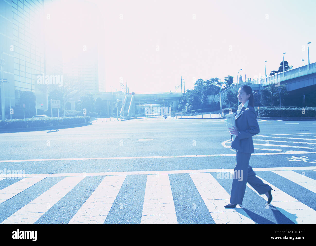 Image of business woman Stock Photo - Alamy