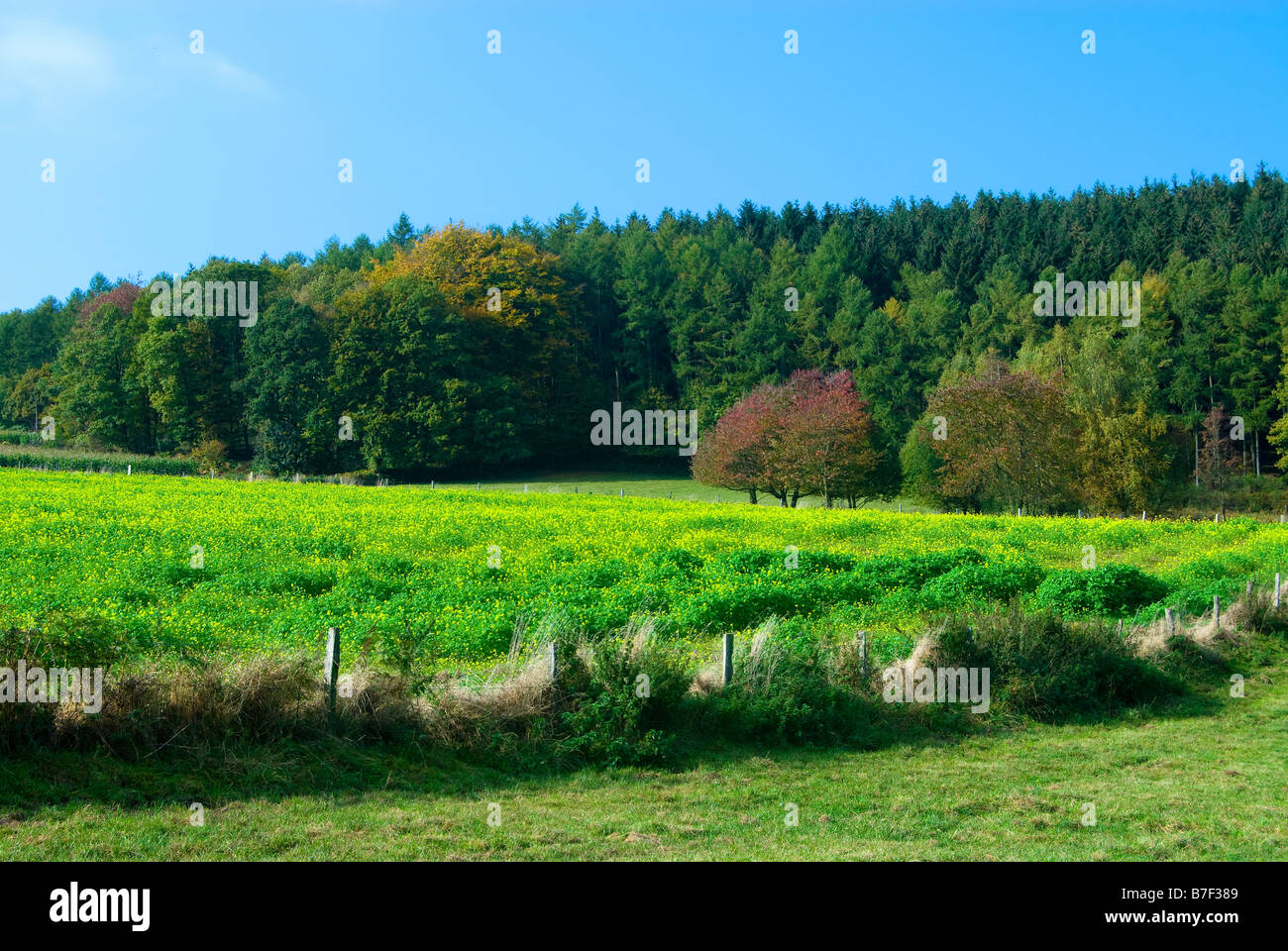beautiful countryside landscape in belgium Stock Photo - Alamy