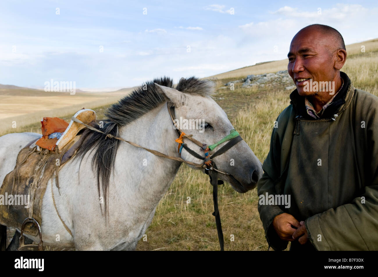 A local Mongolian herdsman on his horse Stock Photo - Alamy