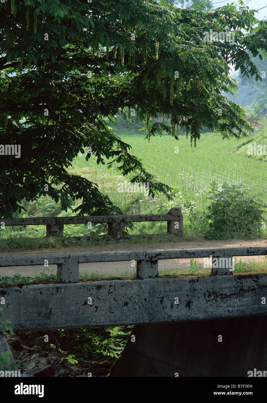 Sakae village hi-res stock photography and images - Alamy