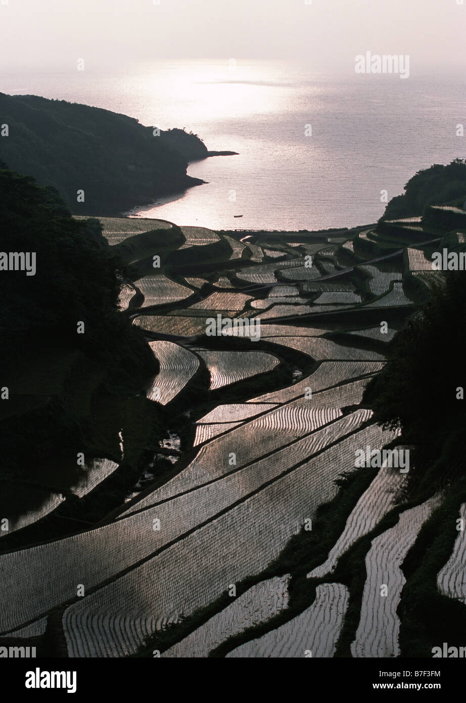Stepped rice paddy field hi-res stock photography and images - Alamy