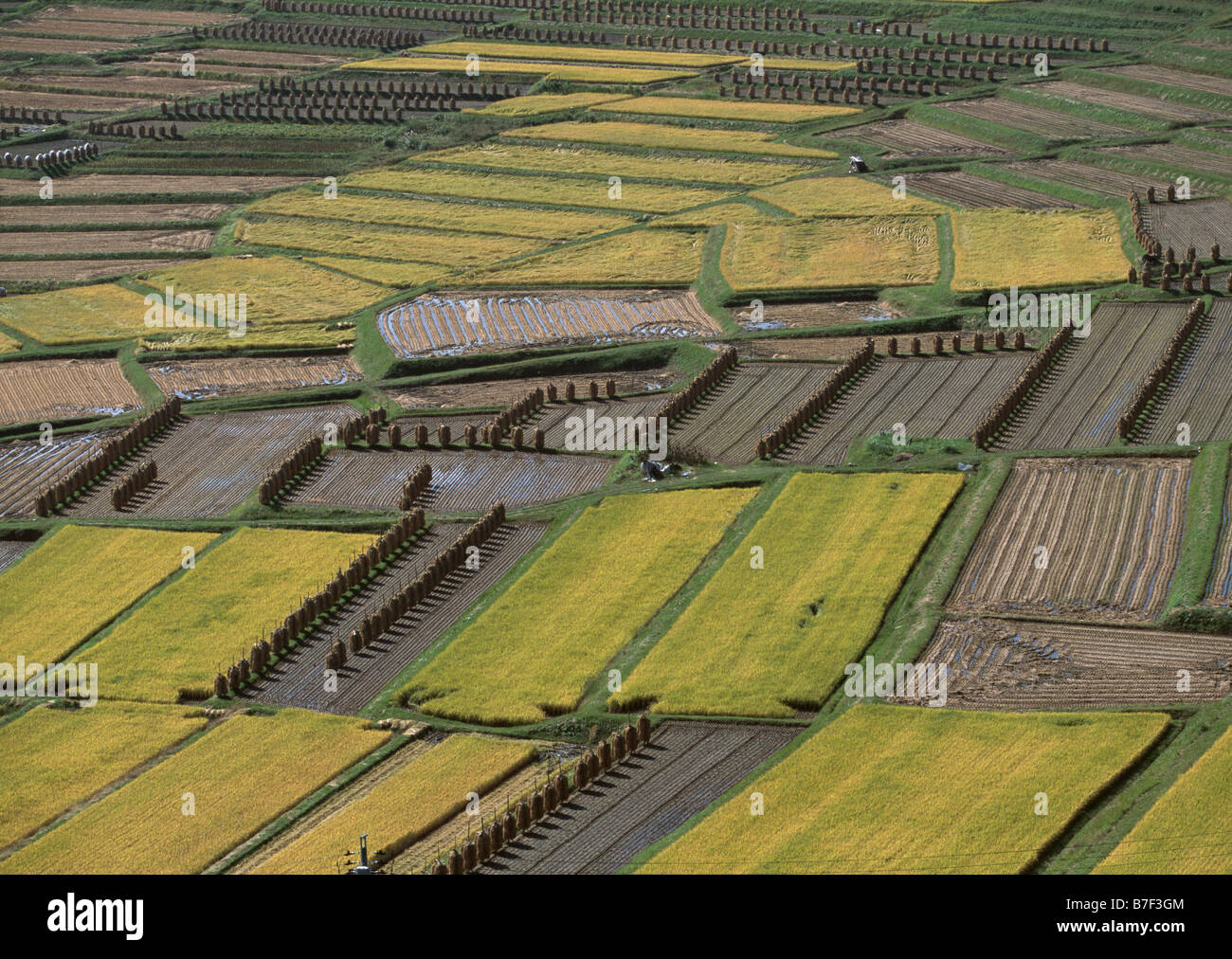 Tohoku region fields hi-res stock photography and images - Alamy