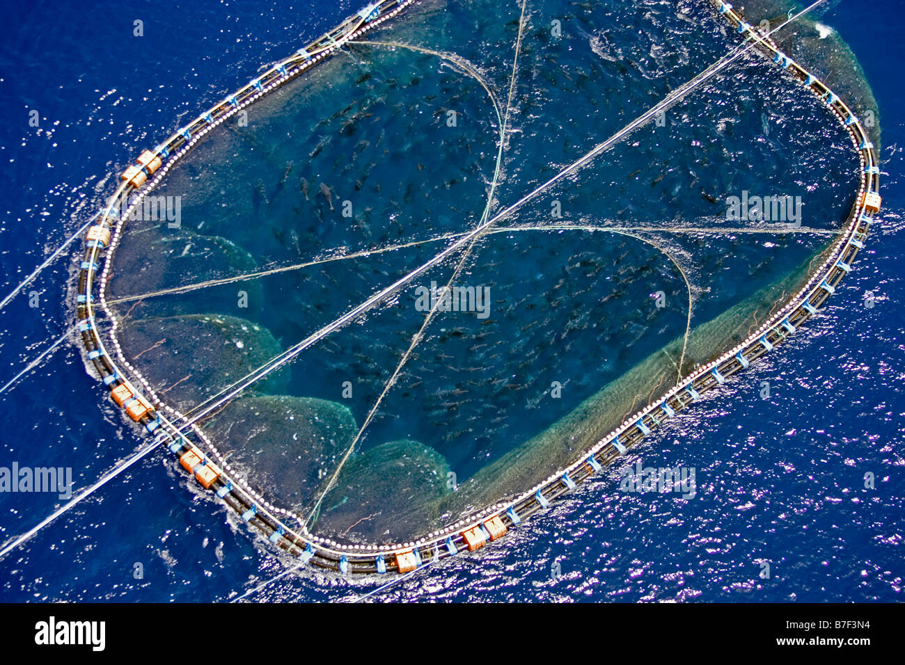Tug Towing Tuna Cage between Fishing grounds in Libya and Tuna Farms in ...