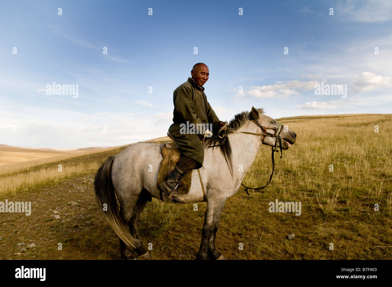 A local Mongolian herdsman on his horse Stock Photo - Alamy