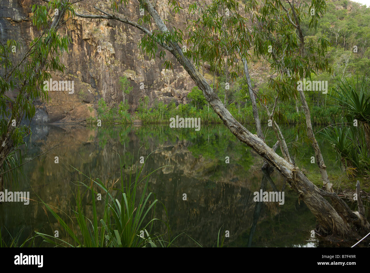 Tropical monsoon forest hi-res stock photography and images - Alamy