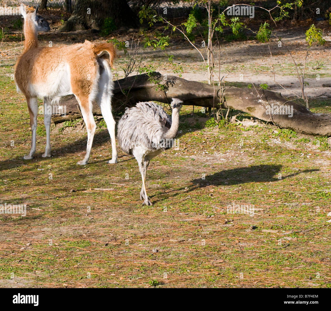 Assuming hi-res stock photography and images - Alamy