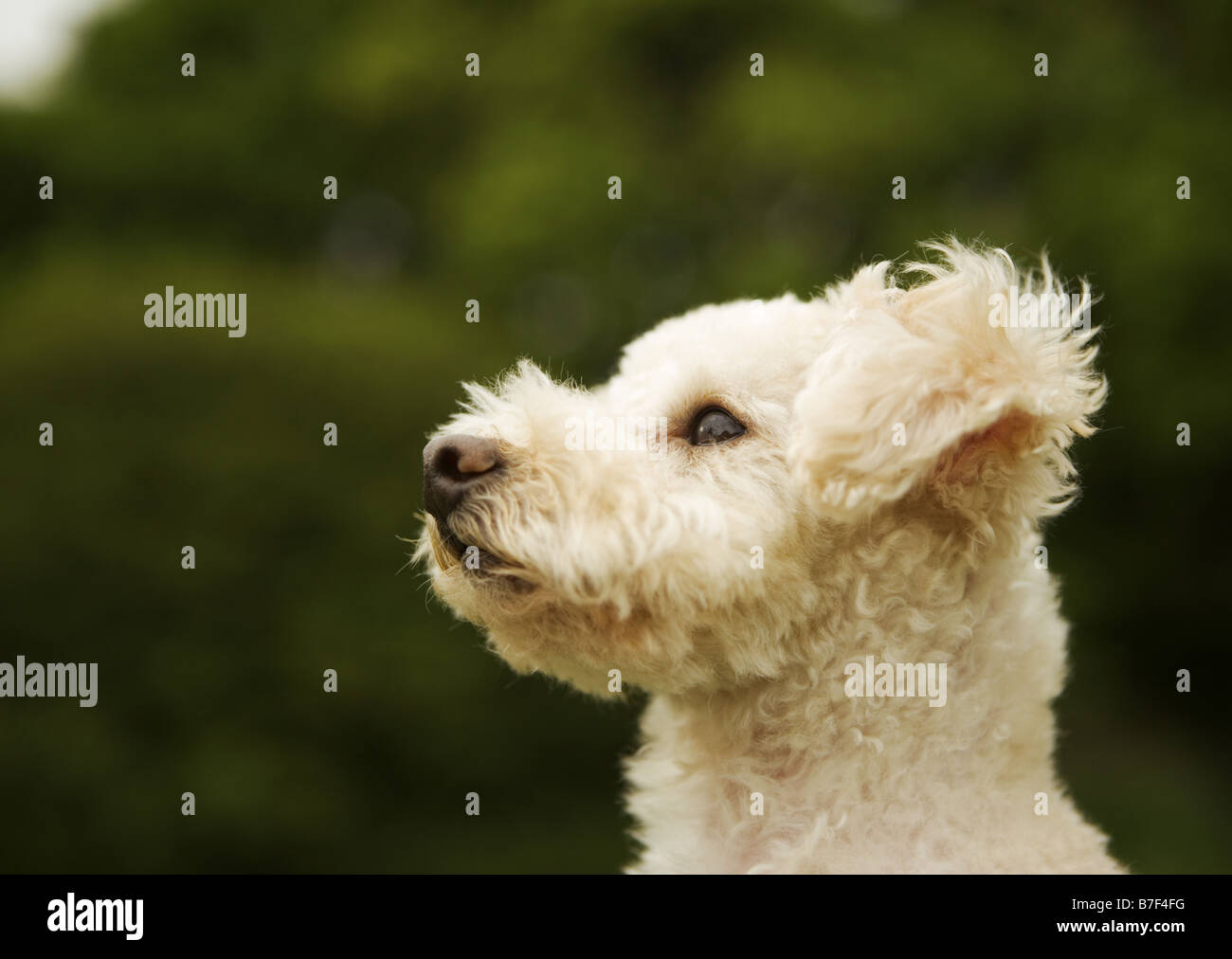 Look of ecstasy hi-res stock photography and images - Alamy