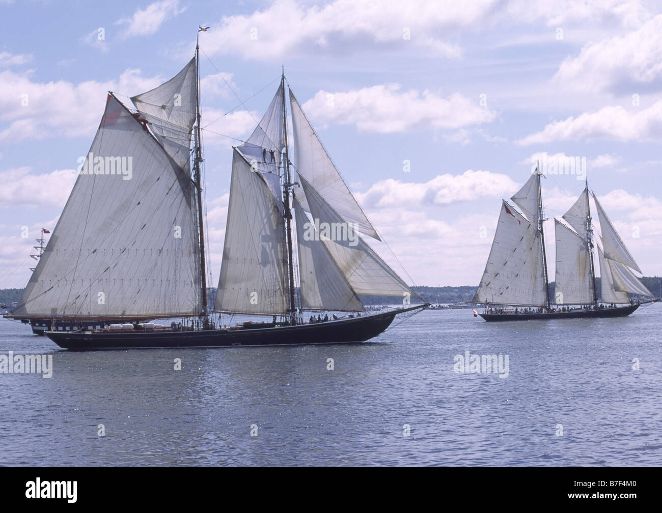 Schooner Bluenose