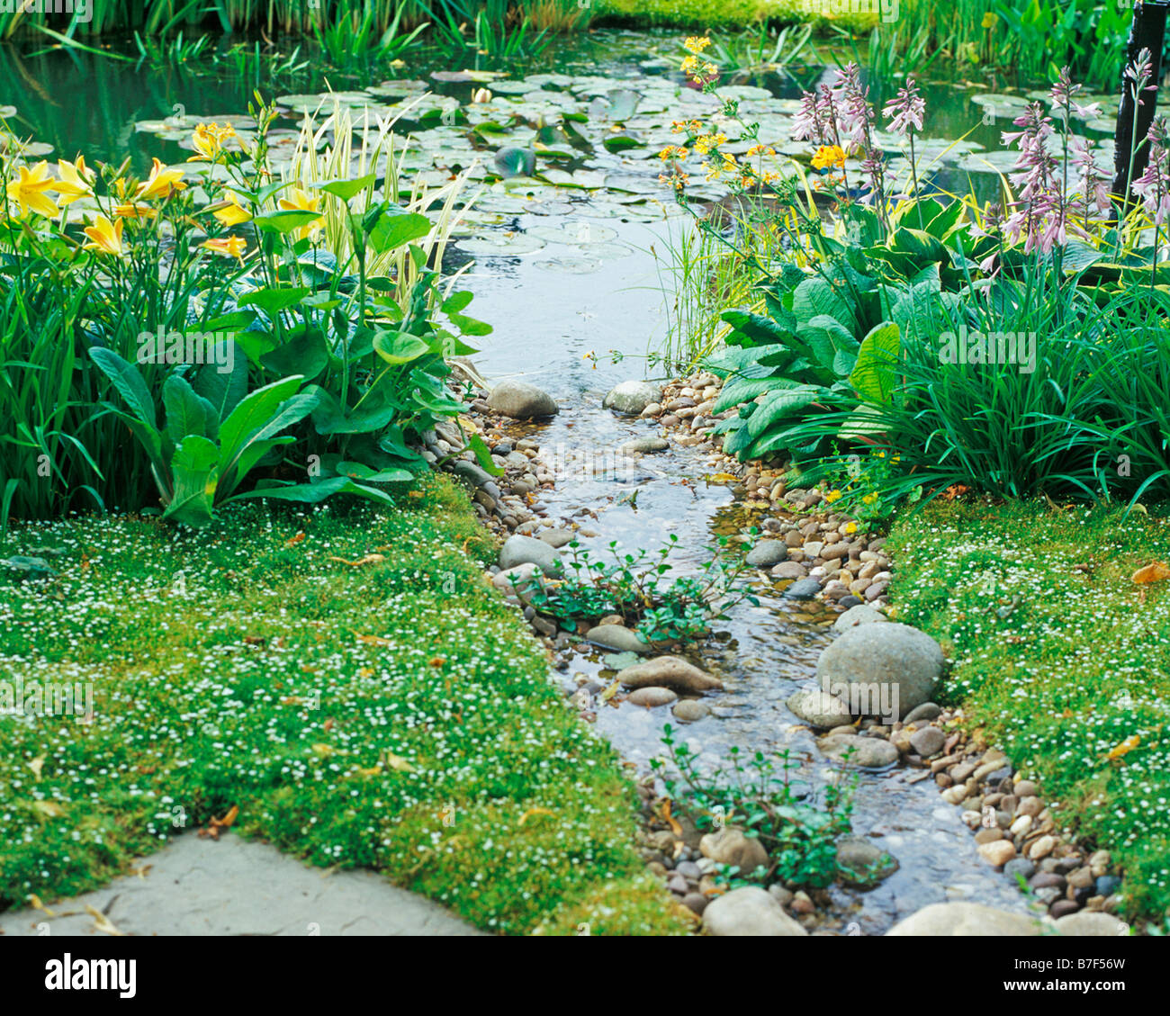 Stream Water Feature High Resolution Stock Photography and Images - Alamy