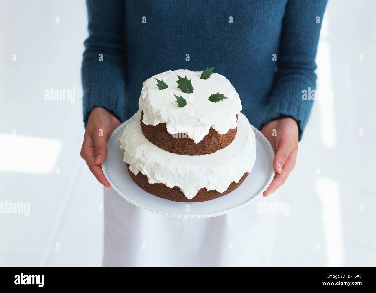 A double-tier cocoa cake Stock Photo - Alamy
