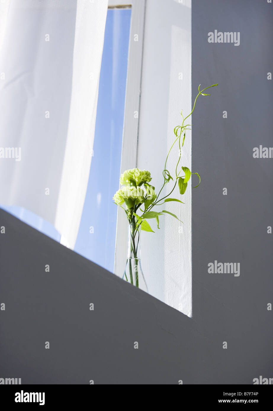 Vese hi-res stock photography and images - Alamy