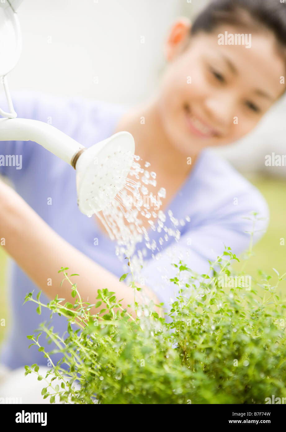 Woman watering plants Stock Photo - Alamy