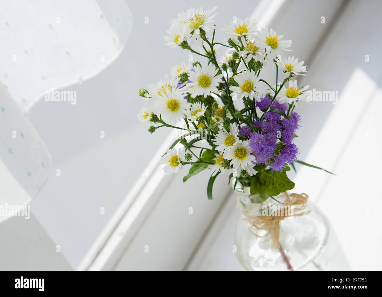 Vese hi-res stock photography and images - Alamy