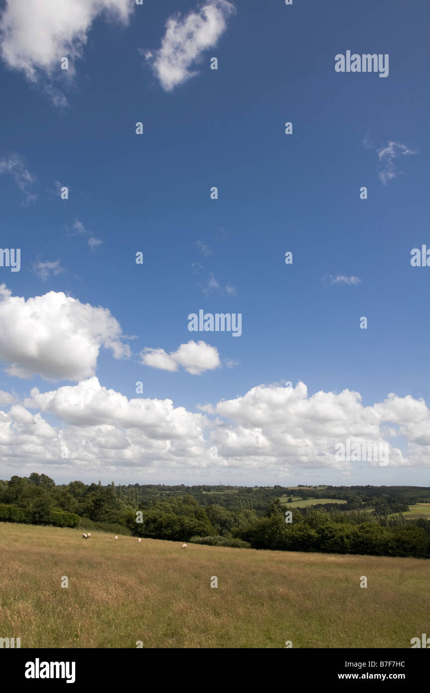 A view of farmland in Kent in summer Stock Photo - Alamy