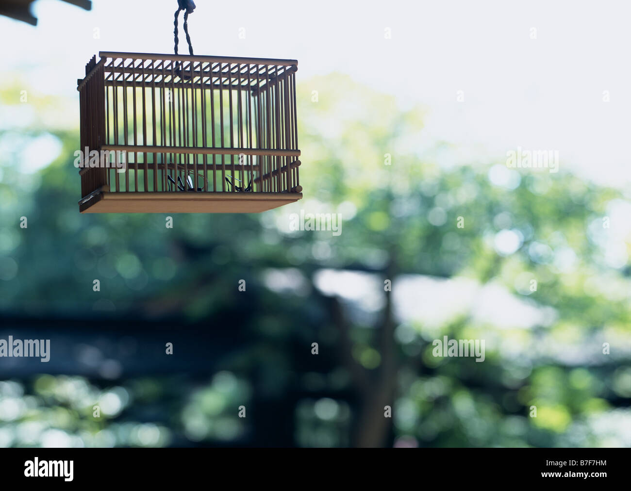 The bug jar hi-res stock photography and images - Alamy