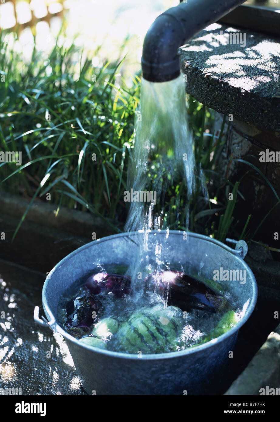 Vegestables and watermelon under a running garden faucet Stock Photo ...