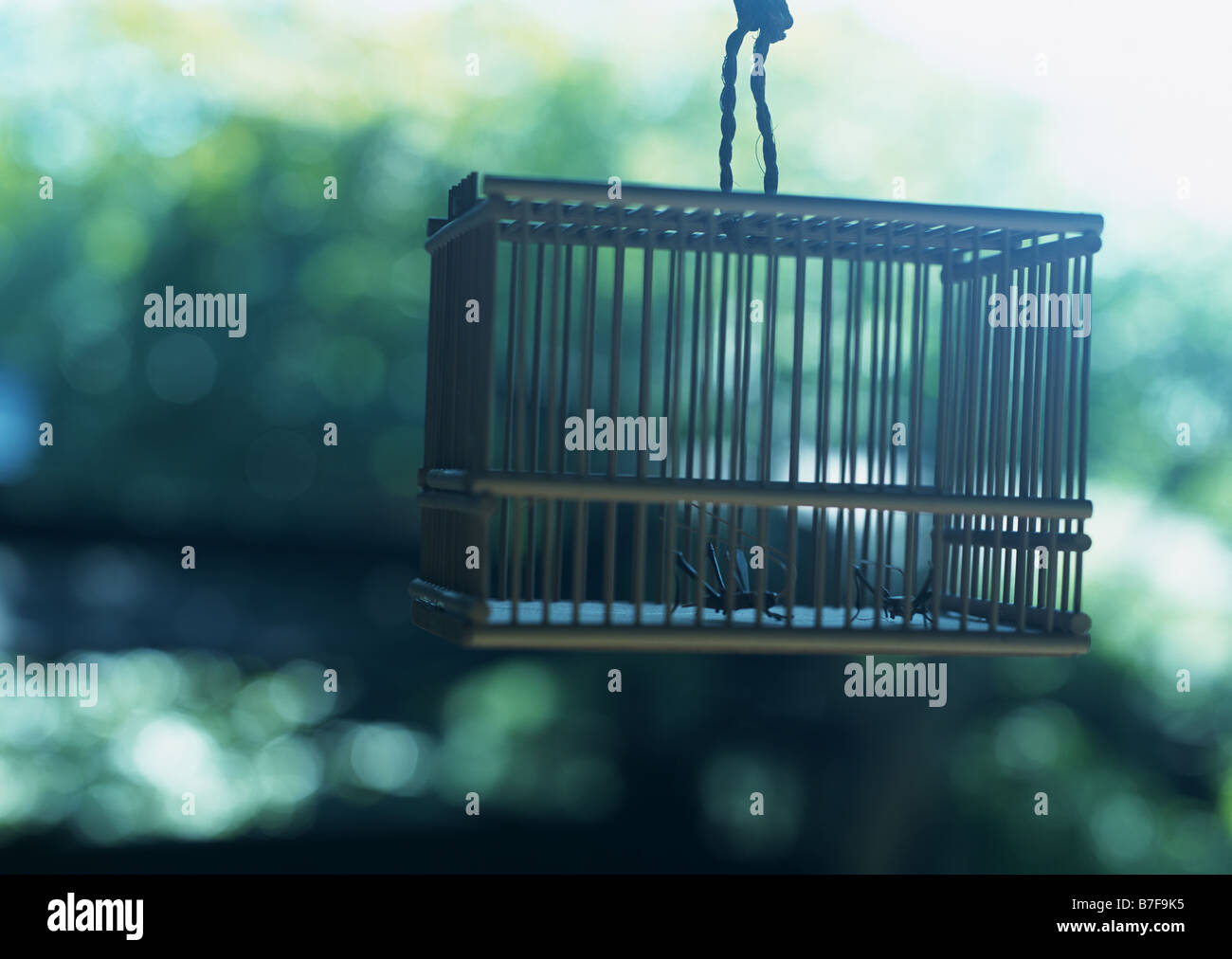 The bug jar hi-res stock photography and images - Alamy