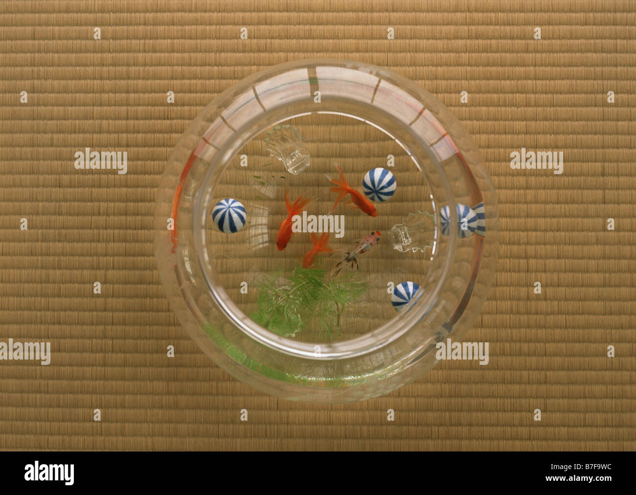 Singular and plural hi-res stock photography and images - Alamy