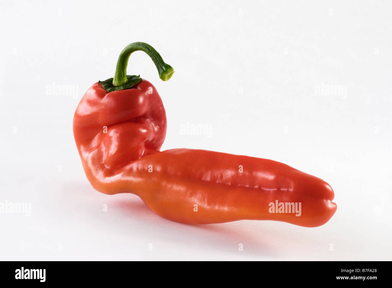 Red sweet pointed Pepper on white background Stock Photo - Alamy