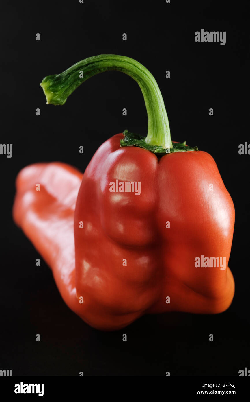 Red sweet pointed Pepper on black background Stock Photo - Alamy