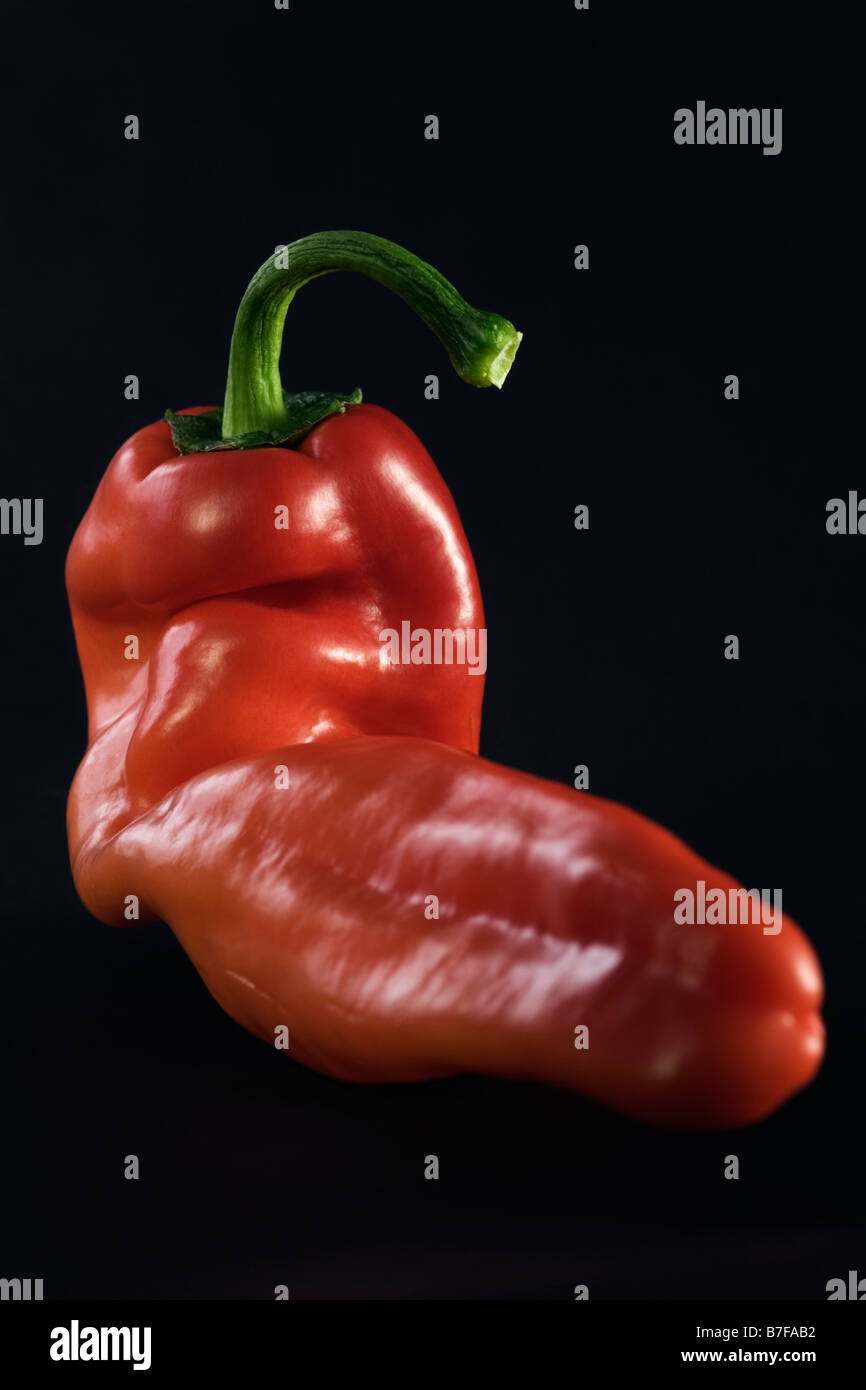 Red sweet pointed Pepper on plain black background Stock Photo - Alamy