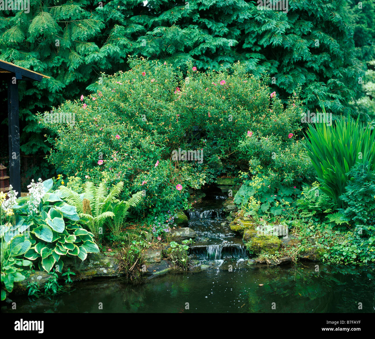 NATURAL STREAM FLOWS INTO POND Stock Photo - Alamy