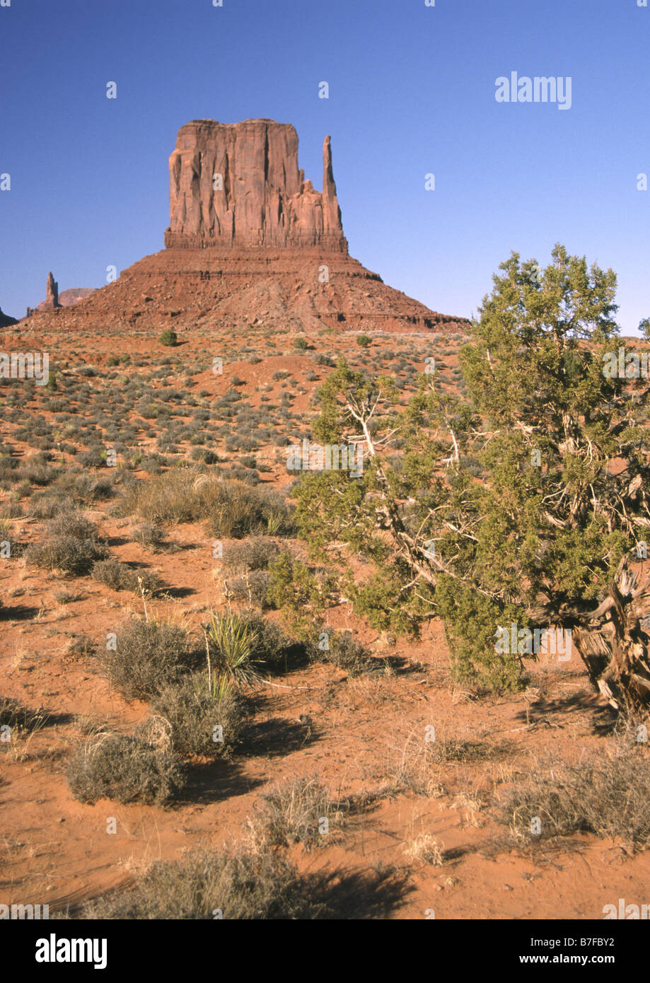 the west mitten in monument valley in arizona in the usa Stock Photo ...
